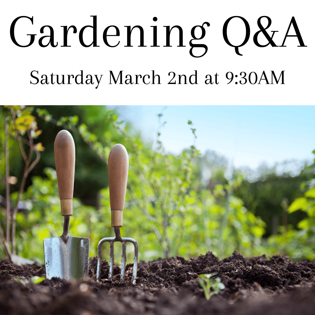 Gardening Q&A Session - Gibsonville Public Library